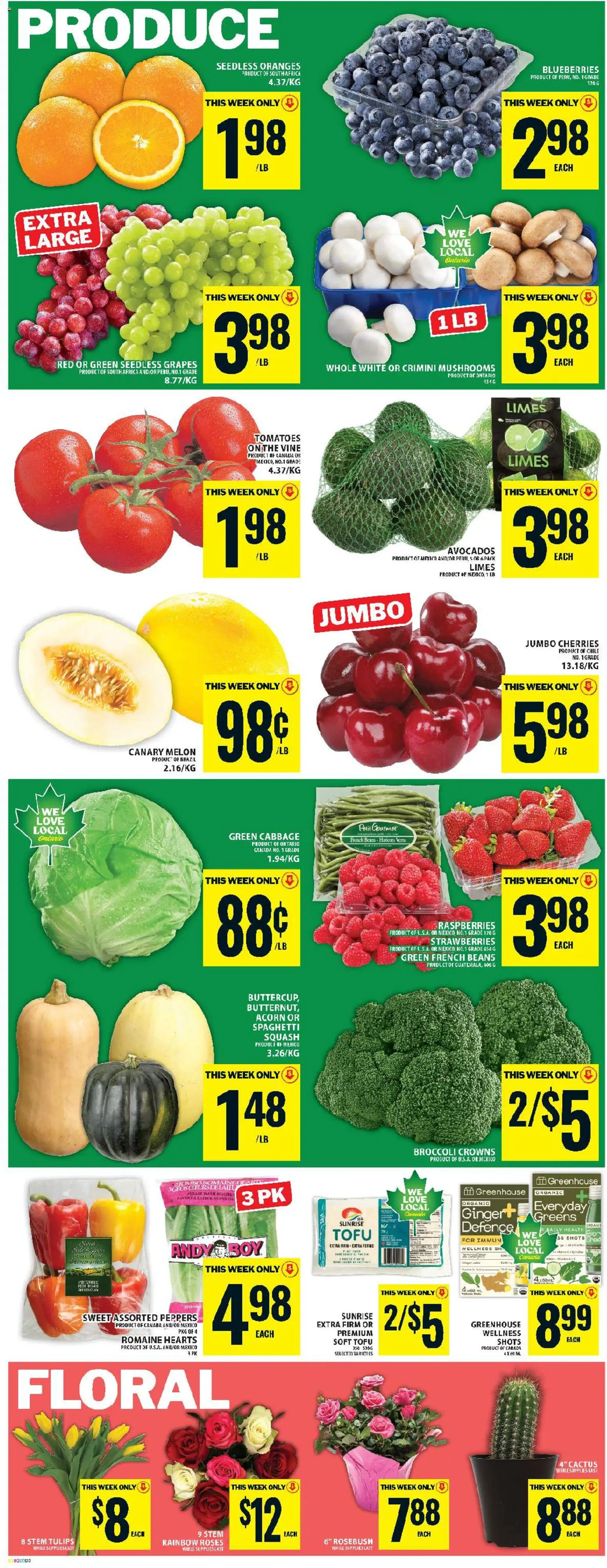 Food Basics flyer from Jan 8, 2026 > online preview