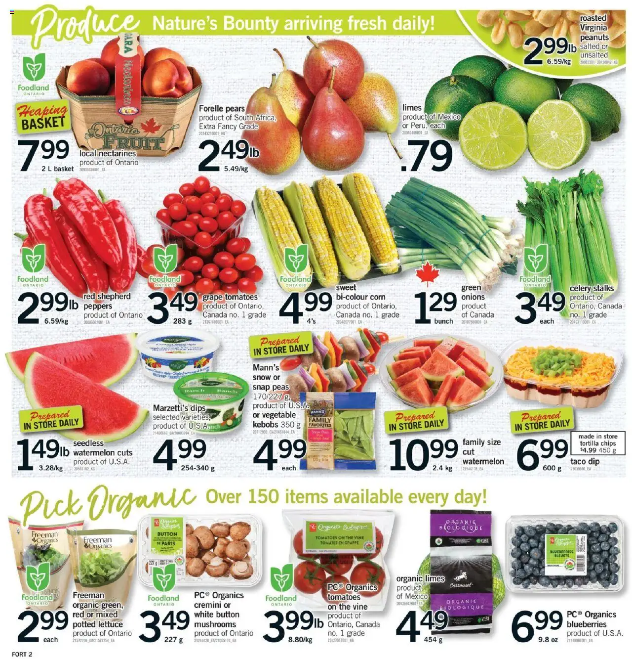 Fortinos flyer from Jul 24, 2025 > online preview